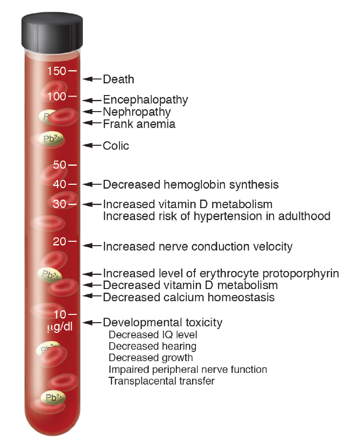 Here are the facts about lead and reducing exposure to lead. – Lead in ...